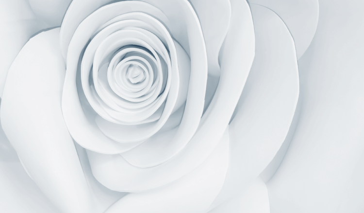 Vulvar Hygiene: Your Guide for a Healthy Vagina – NewFlora